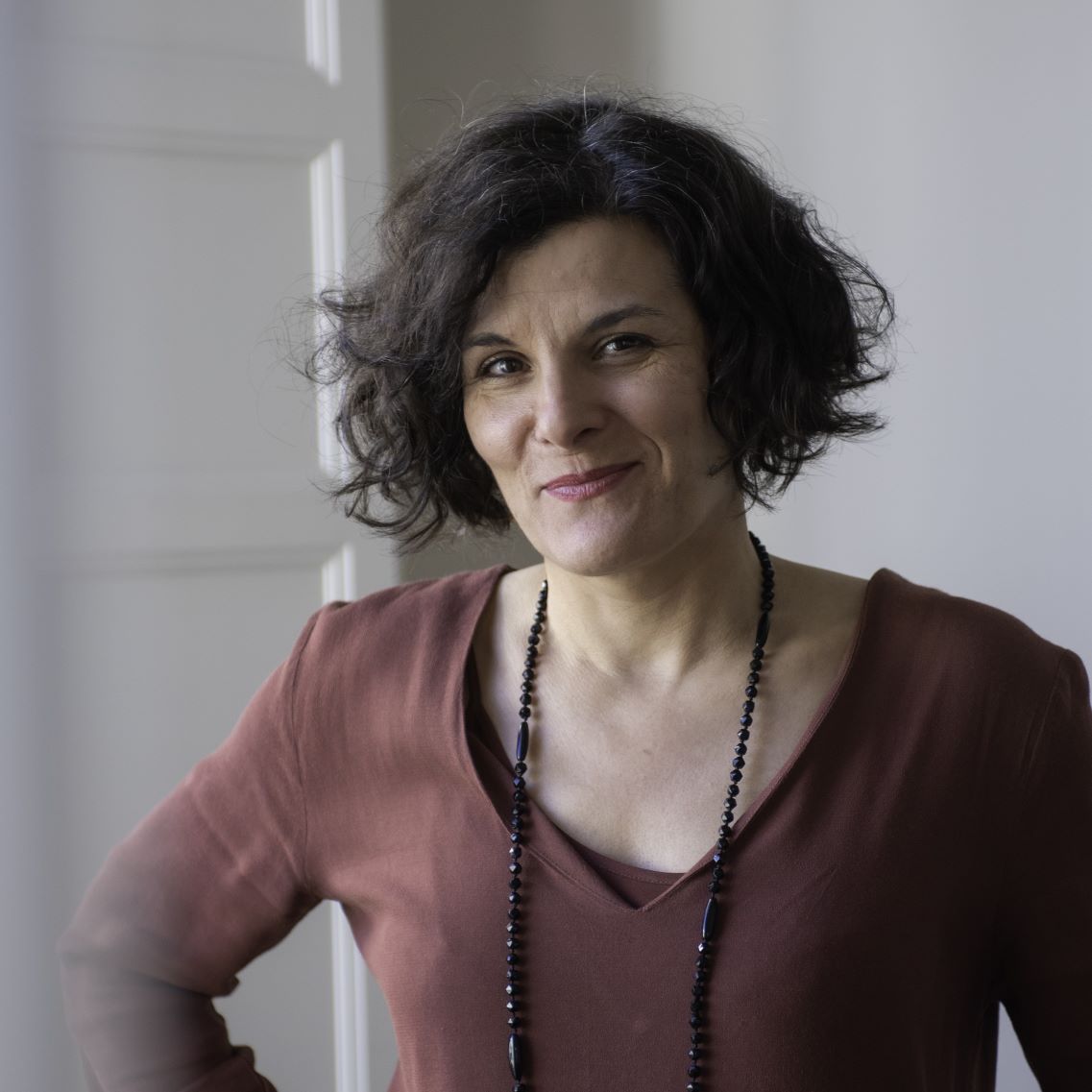 Demokratie Volksinitiative